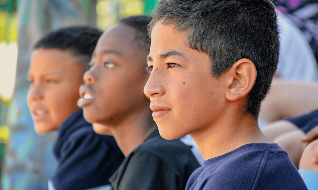 Building a vision for instruction — A professional learning journey for ...
